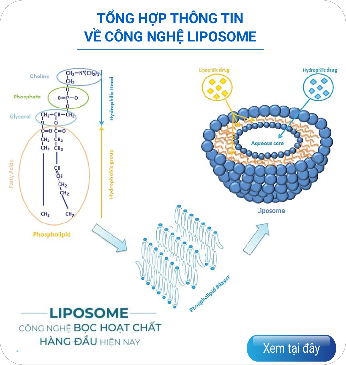 bạn đang tim kiếm thông tin về công nghệ liposome